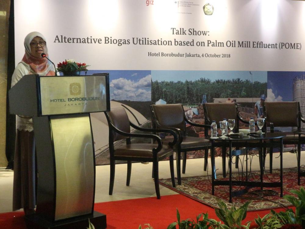 Kementerian ESDM RI - Berita Unit - Direktorat Jenderal EBTKE - Diskusi ...